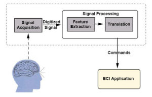 Impianto cervello-spina dorsale: scimmie paralizzate tornano a camminare