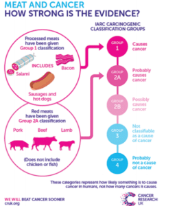 Cancerogeno cosa significa? La classificazione delle sostanze secondo ...